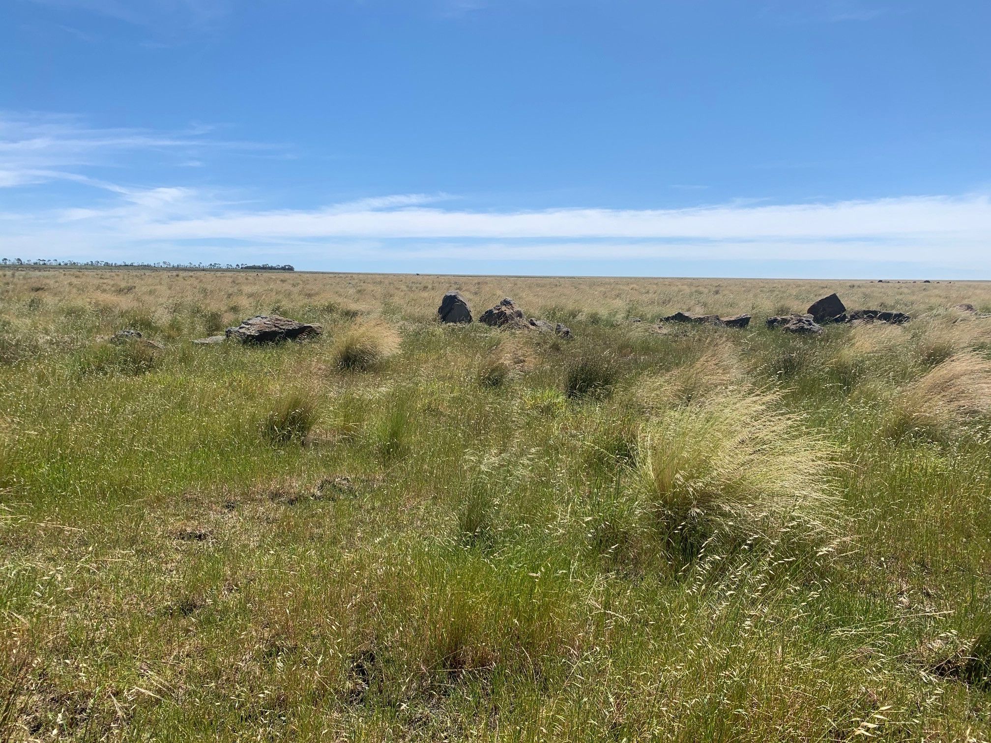 Project referral and information sessions - expected later in 2024 ...