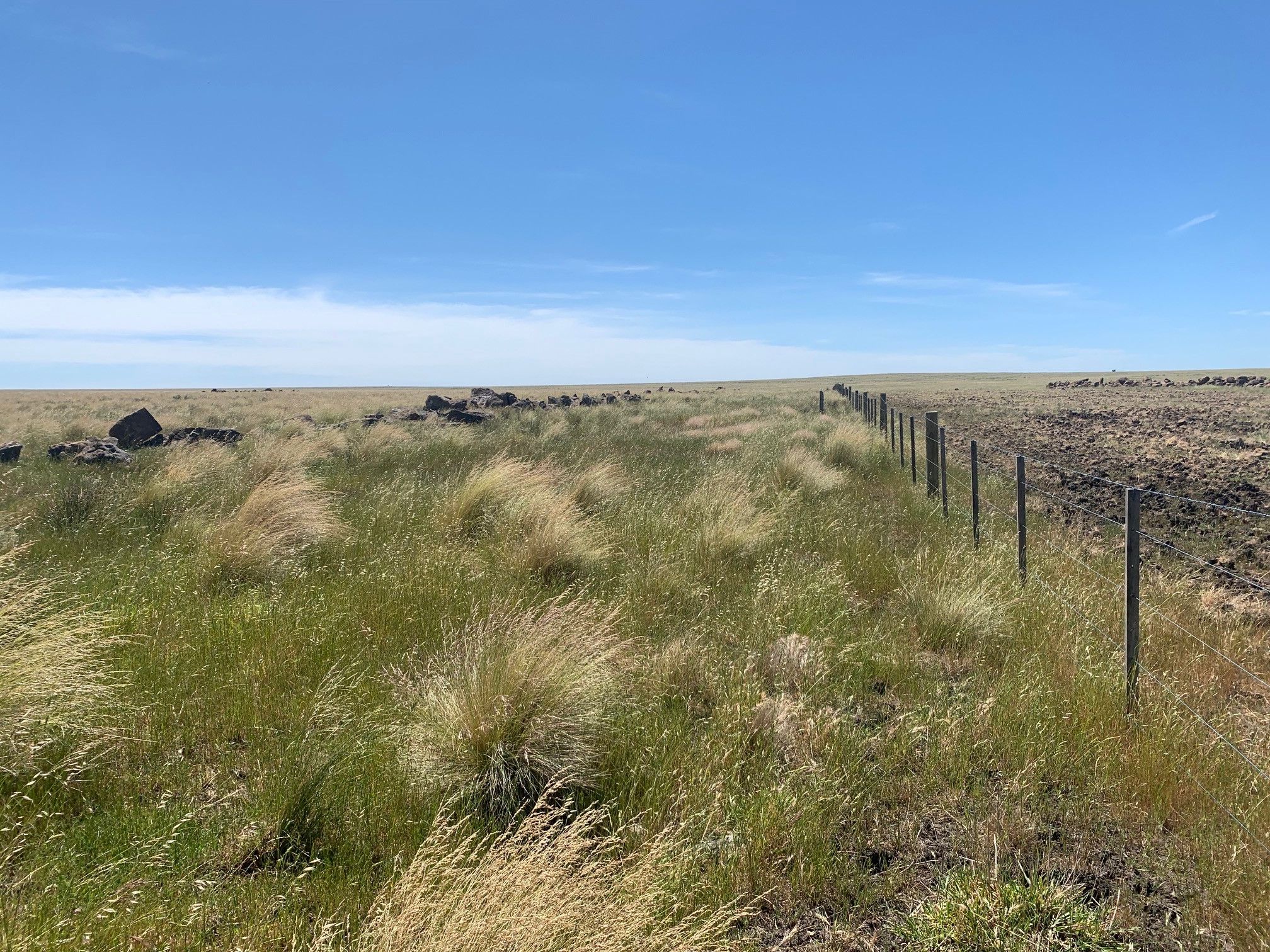 Distance to local townships | Tall Tree Wind Farm | ACCIONA Energía ...